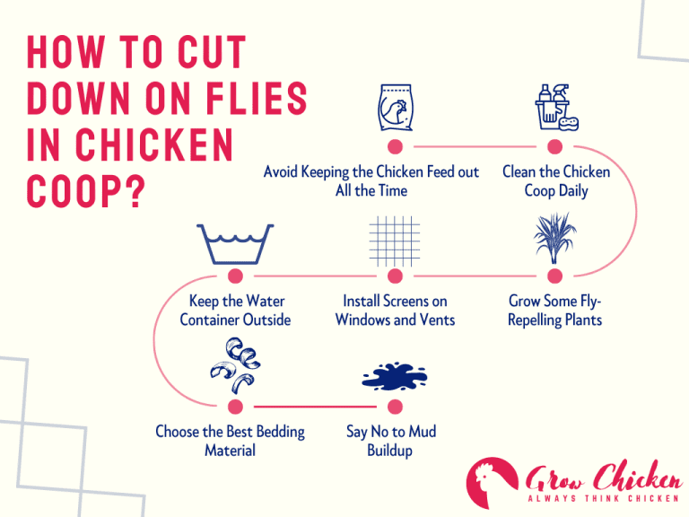 How to Cut Down on Flies in the Chicken Coop - Grow Chicken